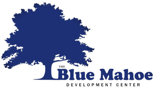 Welcome - The Blue Mahoe Development Center